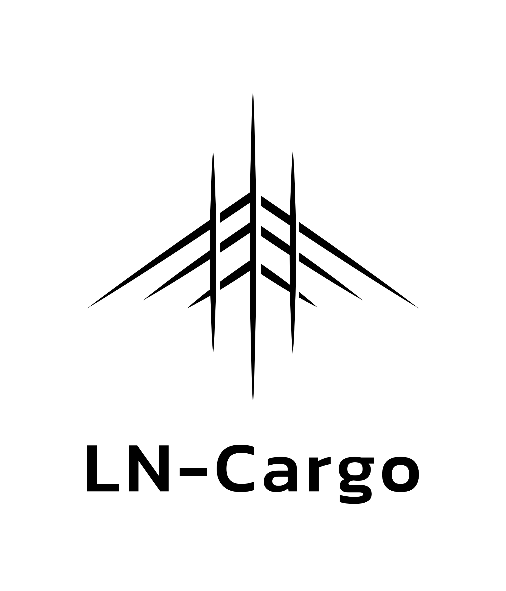 LN-Cargo - Flyfrakt Booking & Frakt i Norge | Rask & Pålitelig